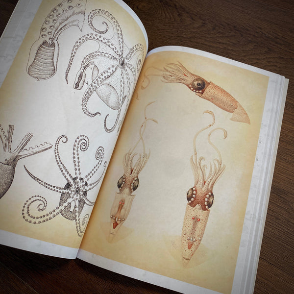 Octopus & Squid ebook - tattooflashcollective