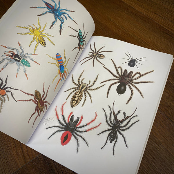 Spiders and Scorpions ebook - tattooflashcollective